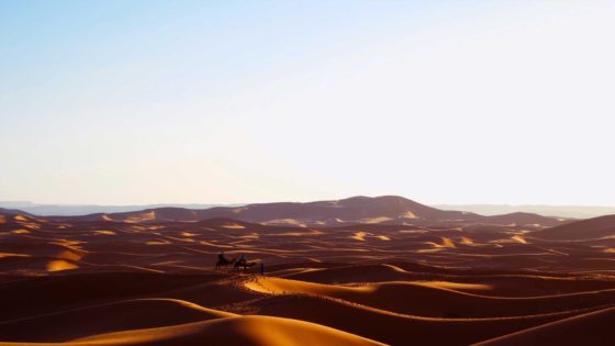 World’s Largest Solar Farms – Pandabode Blog